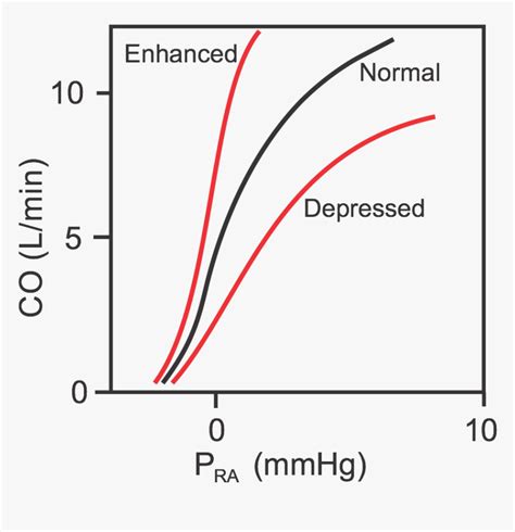 Cardiac Function Curves Cardiac Function Curve Hd Png Download Kindpng