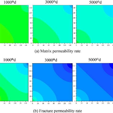 Evolution Of Coal Matrix And Fracture Permeability Rate In The Model