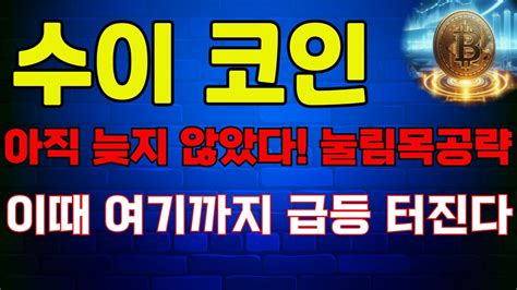 수이 코인💥아직 늦지 않았다 눌림목 이구간 공략~ 이때 여기까지 급등 터진다~ 수이 코인 전망 시황 호재 목표가 대응 차트 분석~징기스칸 코인방송 실시간 Youtube