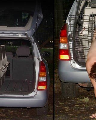 Transporting Slaves Porn Pictures XXX Photos Sex Images 427656 PICTOA