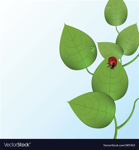 Funky Ladybug Royalty Free Vector Image Vectorstock