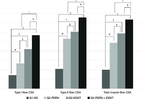 Comparison Of Mean CSA Of Lateral GCM Muscle Fibers Among Four Groups P Download