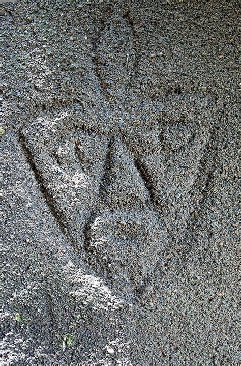 Face Drawing Rocks Angular Nature Photo Background And Picture For Free Download Pngtree