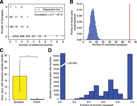 Reconstruction And Simulation Of Neocortical Microcircuitry Cell