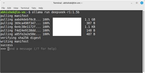 How To Install Deepseek R1 Locally On Linux