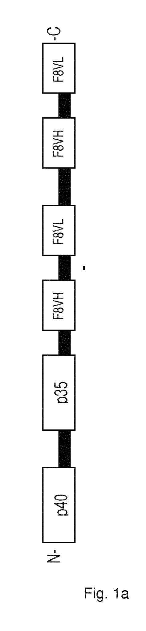 Il 12 Immunoconjugate Eureka Patsnap Develop Intelligence Library