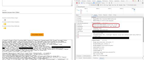 Cors の挙動の観察と Preflight Request の検証 Ewig Leerelab2