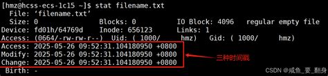 linux基本命令篇 —— touch命令 linux touch csdn博客