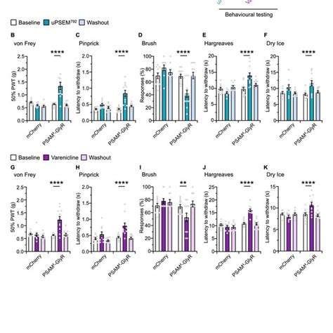 Robust Reversible And Repeatable Silencing Of Acute Sensory