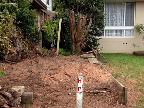 Professional Tree Root Ball Removal Central Coast Pullup Stumps