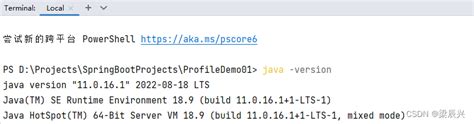 执行jar包时出现：exception in thread “main“ java lang unsupportedclassversionerror