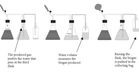 Sampling Procedure Download Scientific Diagram