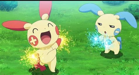311 And 312 Plusle And Minun Screenshot In 2025 Pokemon Pokedex Cute