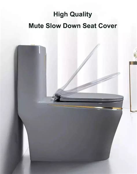 Inart Dual Flush Siphon Flushing Rimless Elongated One Piece Toilet S