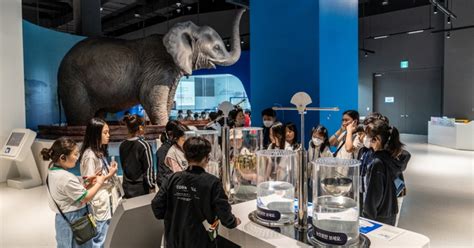 에듀플러스 제14회 미래와소프트웨어 꿈찾기 캠프 내년 2월 부산과학관서 개최ai교육·전시관 투어 등 다양한 프로그램 마련 에듀플러스 제14회 미래와소프트웨어 꿈찾기 캠프 내년 2월 부산과학관서 개최ai교육·전시관 투어 등 다양한 프로그램 마련