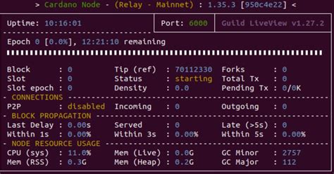 Upgraded To 1 35 3 But DB Not Syncing And Relay Not Receiving Incoming Connections Operate A