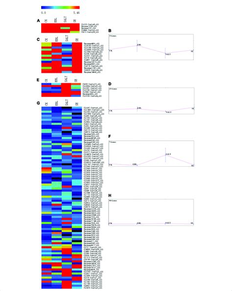 Trend Analysis Of DEG Expression In Four Groups A Heatmap Of Gene Download Scientific