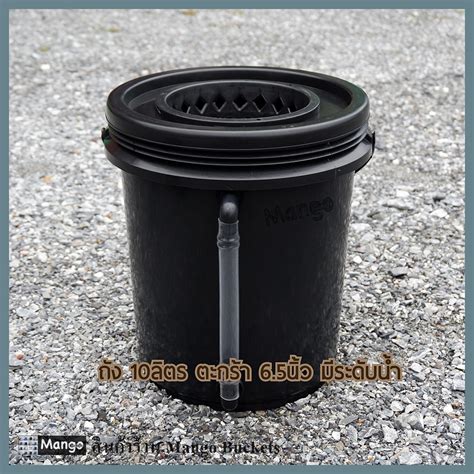 ถังไฮโดรโปนิกส์ ขนาด 5l 10l พร้อมเจาะรูฝา 4 และ 6 นิ้ว เพื่อใส่กระถางปลูก Hydroponics Bucket Dwc