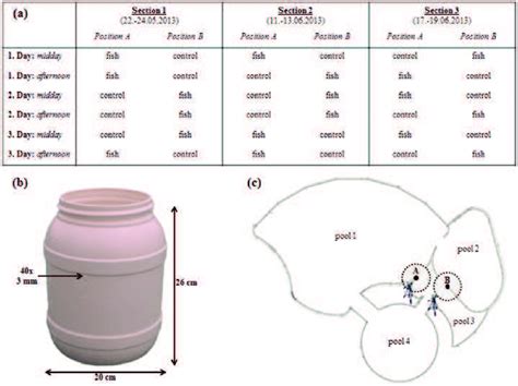 Experimental Setup A Chronological Sequence Of Stimuli Presentation Download Scientific