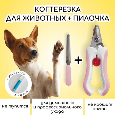 Когтерез для животных / Когтерезка для кошек и собак — купить в ...