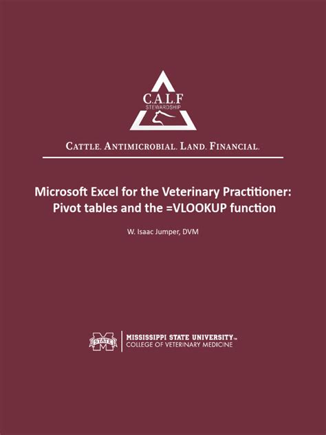Pivot Tables And The Vlookup Function Pdf Spreadsheet Computing