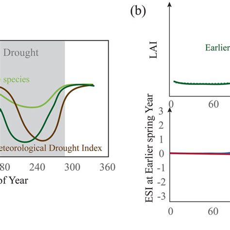 A Conceptual Diagram For A Drought‐response Strategies Esi Of Download Scientific Diagram