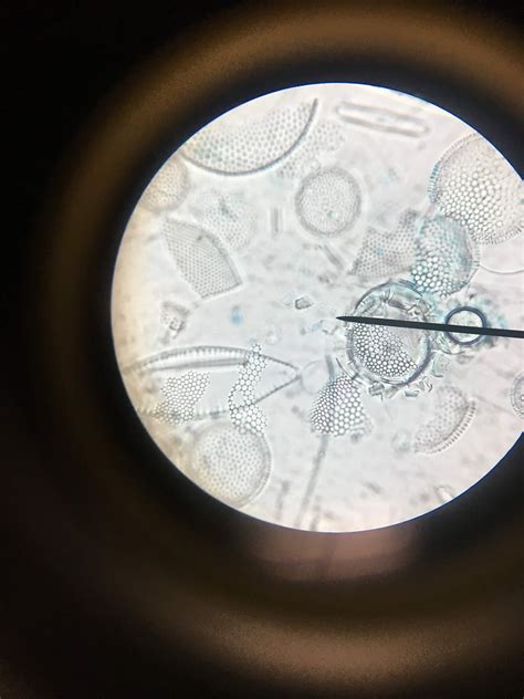 Identifying Help R Microscopy