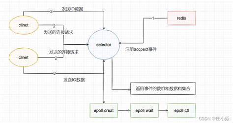 Redis——redis Io多路复用原理缓存域 Csdn专栏 Redis——redis Io多路复用原理缓存域 Csdn专栏