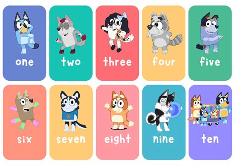 1 100 Bluey Educational Flashcards Teach Counting With Bluey And