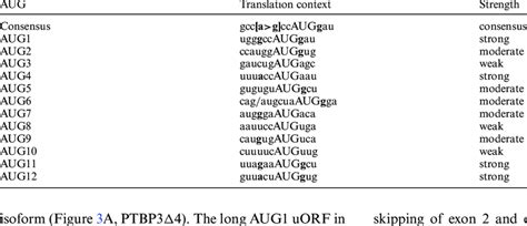 Kozak Sequence Contexts Of Ptbp3 Augs 1 12 Classed As Strong Moderate Download Table