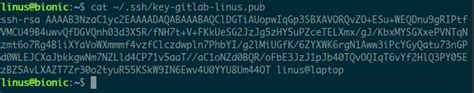 Cara Setting Ssh Key Di Gitlab • Linux And Open Source
