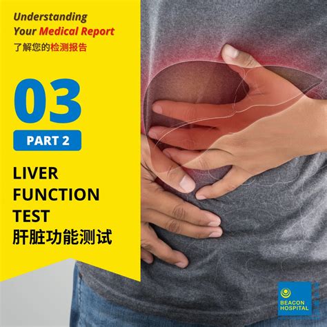 Liver Function Test Part 2 Health Screening Guide Beacon Health Screening Centre