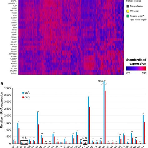 A Heatmap Displaying Hierarchical Clustering Analysis Of The
