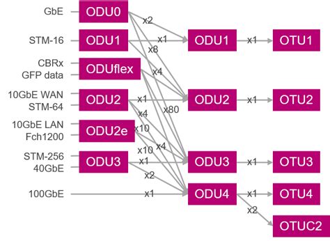 What Can Otn Do For Me Ribbon Communications