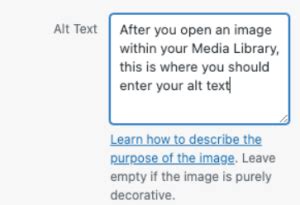 Image Alt Text For SEO What It Is How To Optimize It
