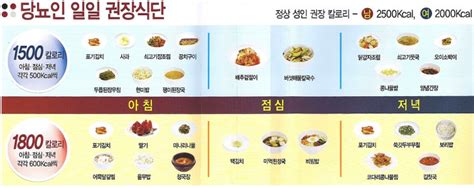 약손닷컴 당뇨식단 안내 및 음식별 칼로리 정보 당뇨병혈당계임신성당뇨다이트칼로리 네이버 블로그