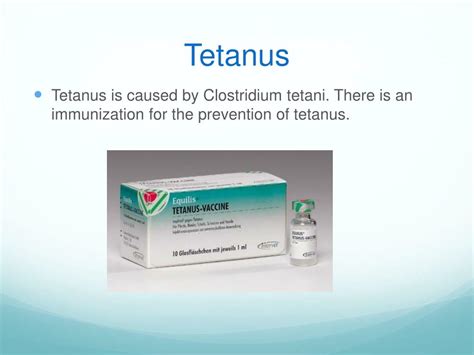 Ppt Microbiology Powerpoint Presentation Free Download Id 2128173