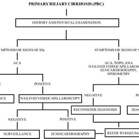 Diagnostic Algorithm For Patients With Pbc And Suspected Ssc Download