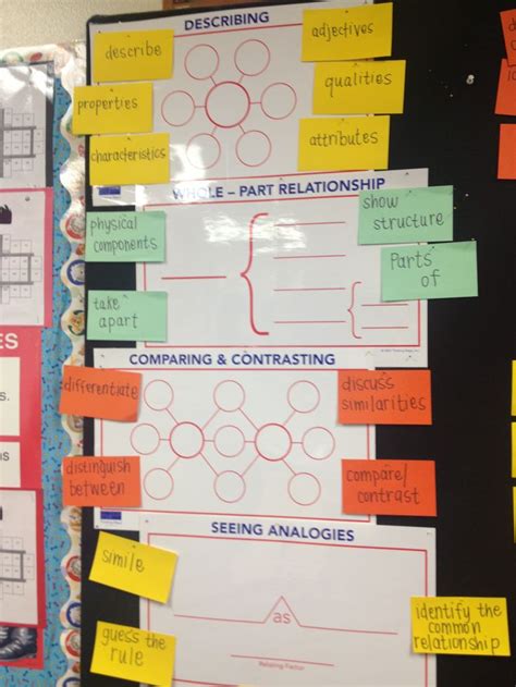 Best Images About Thinking Maps On Pinterest Trees Circles And Anchor Charts