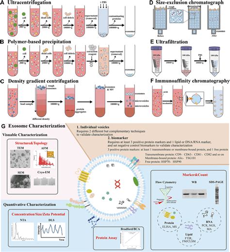 demonstration of various isolation and characterization methods of