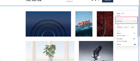 using multiple aspect ratios in a single gallery customize with code