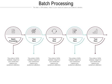 Batch Processing Ppt Powerpoint Presentation Pictures Designs Download