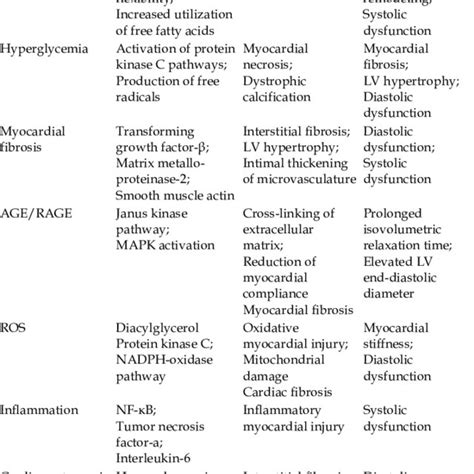 Summary Of Metabolic Processes Involved In The Pathophysiology Of Dcm Download Scientific Diagram