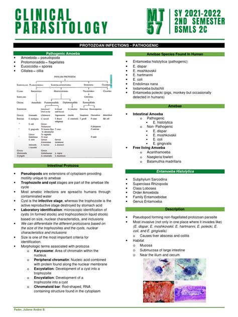 Mt 57 Para Pathogenic Protozoa Pdf Microbiology Immunology