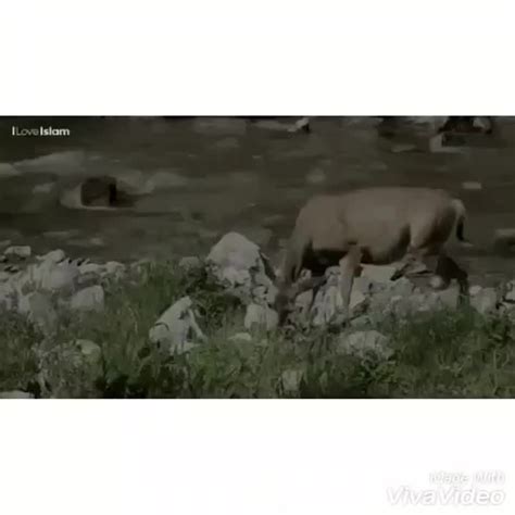 Fathi Shahwan Posted On Linkedin