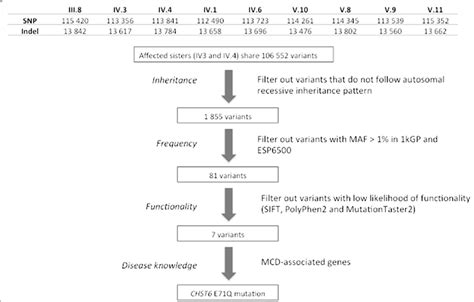 Bioinformatic Analysis Pipeline Download Scientific Diagram