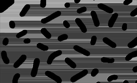 Solved Floodfill Algorithm PTC Community
