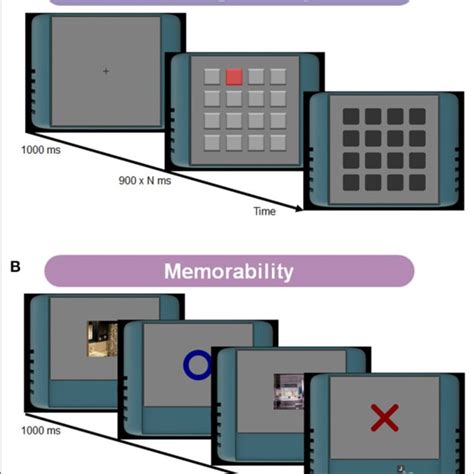 a stimuli and tasks in the working memory task on each trial one