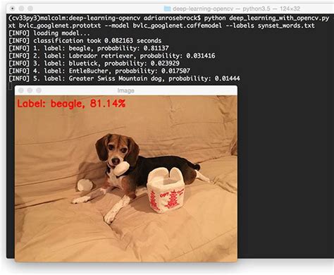 Deep Learning With Opencv Pyimagesearch