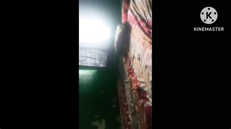 Romantic Ex Girlfriend Hotel Room Sex Local Stepmom Sex Romantic Sex Big Boobs Very Good Sex